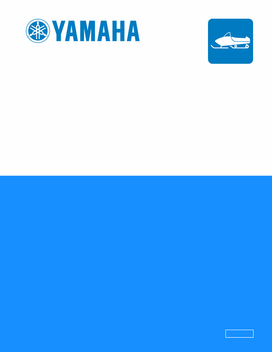 2006 YAMAHA RS VECTOR GT Factory Service & Work Shop Manual