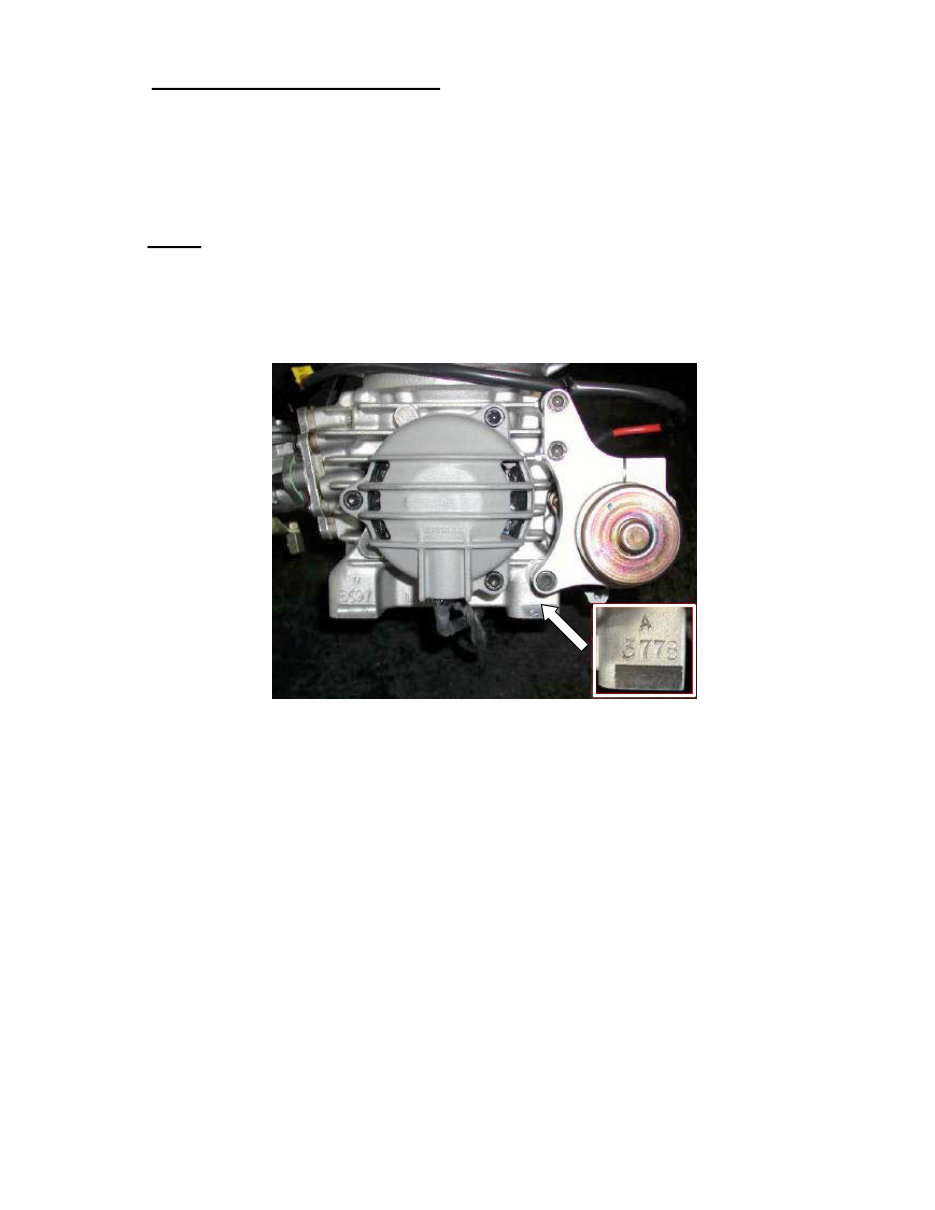 IAME PARILLA 125cc 125 LEOPARD TAG Engine 2003