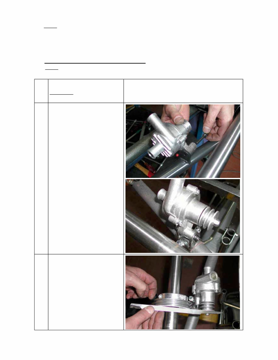 IAME PARILLA 125cc 125 LEOPARD TAG Engine 2003