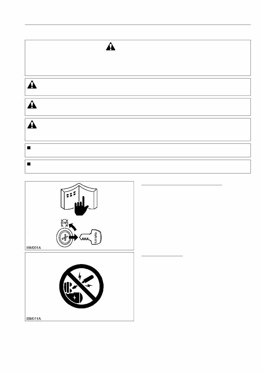 KUBOTA V3800-CR-TE4B, V3800-CR-TIE4B (HYUNDAI) COMMON RAIL System DIAGNOSIS Manual