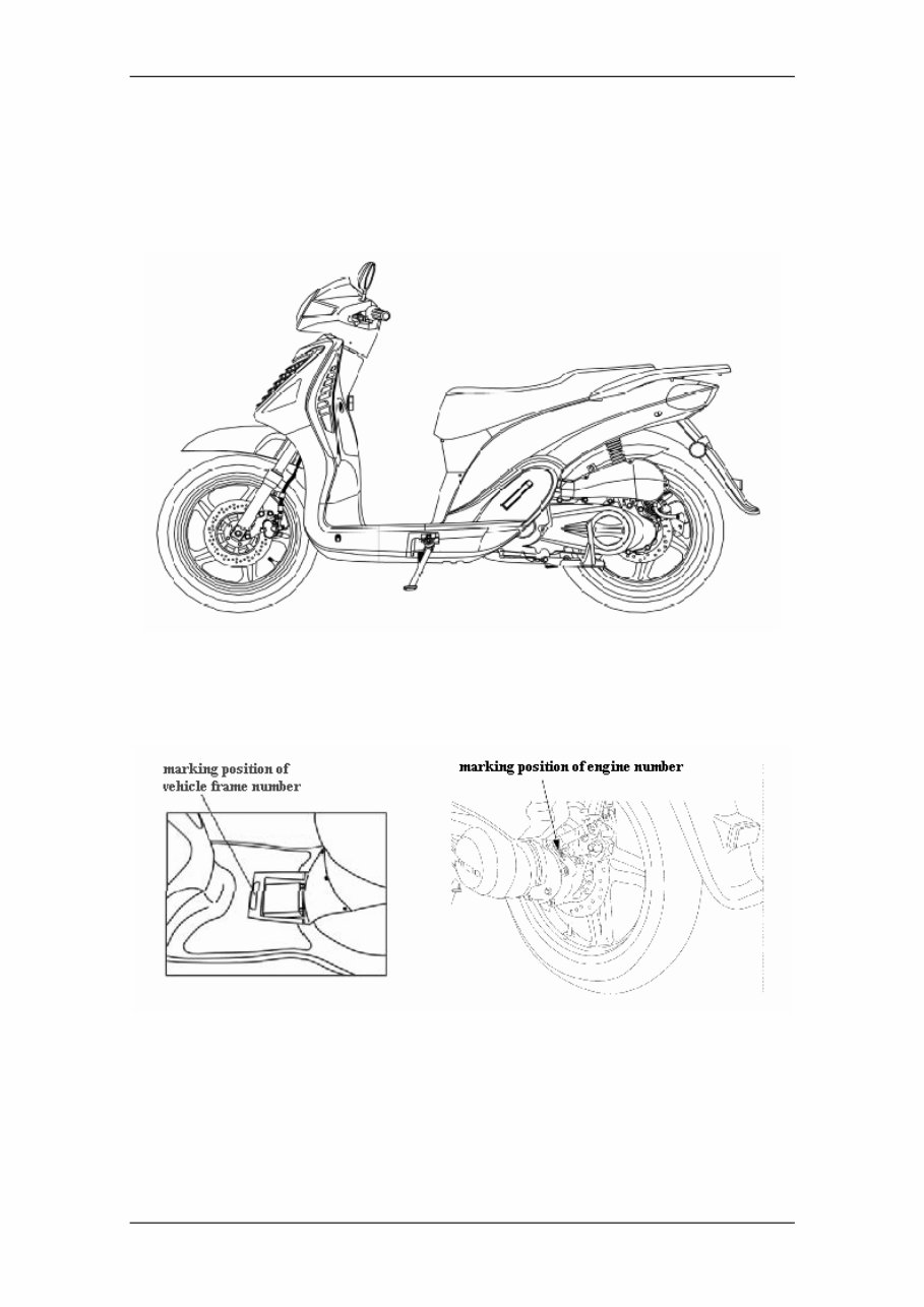 Cfmoto CF150T-5i/CF125T-21i Workshop Repair manual