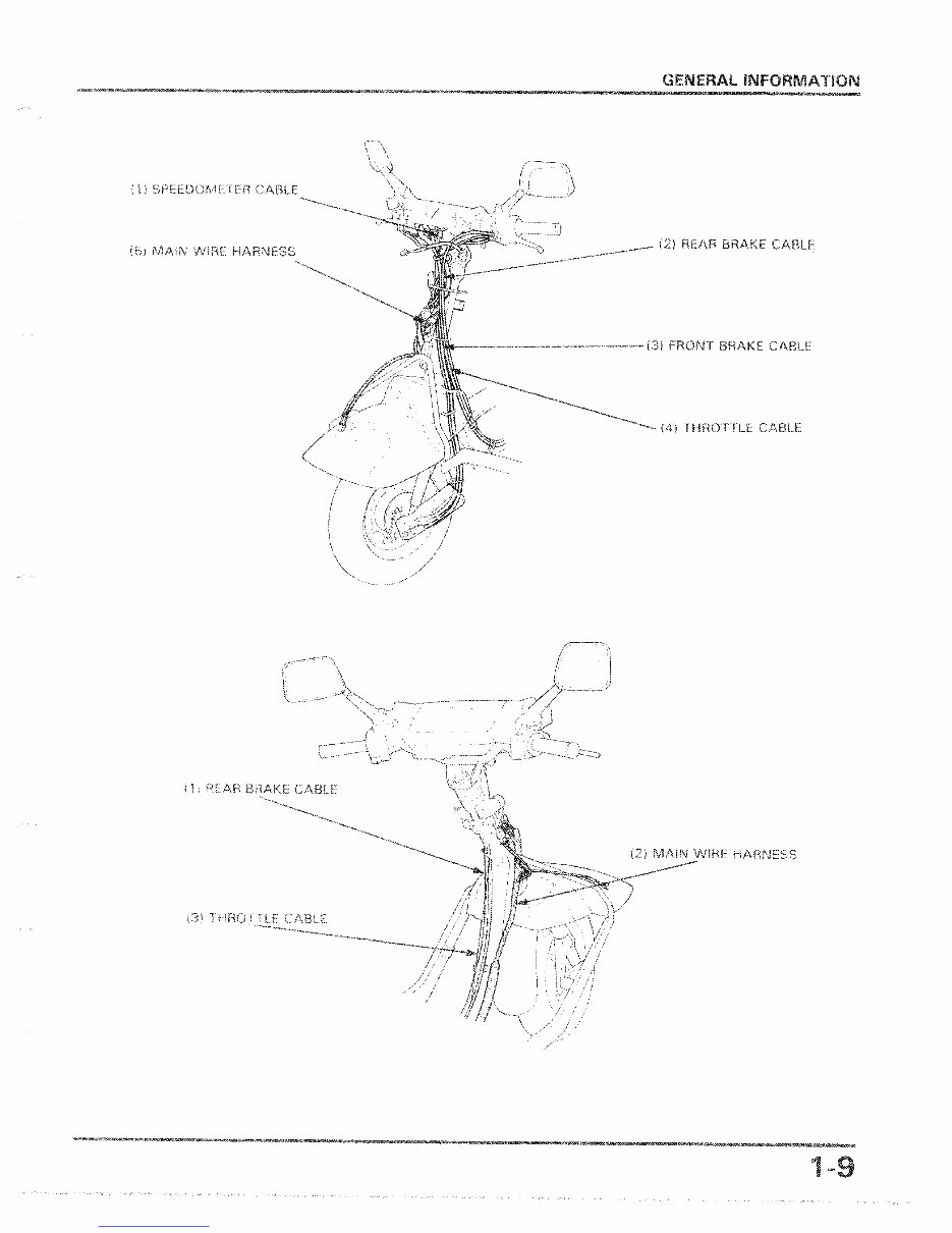 1985-2002 Honda CH80 Elite Scooter Workshop Repair & Service Manual [COMPLETE & INFORMATIVE for ...