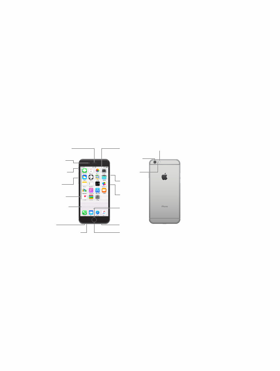 Apple Iphone User Guide | Manuals Online