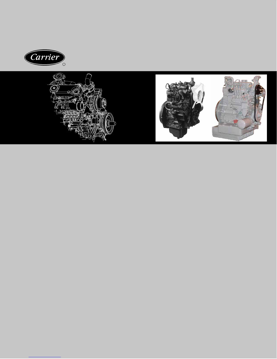 Carrier CT2-29-TV & CT3-44-TV Truck Comfortpro Diesel Engine Complete ...