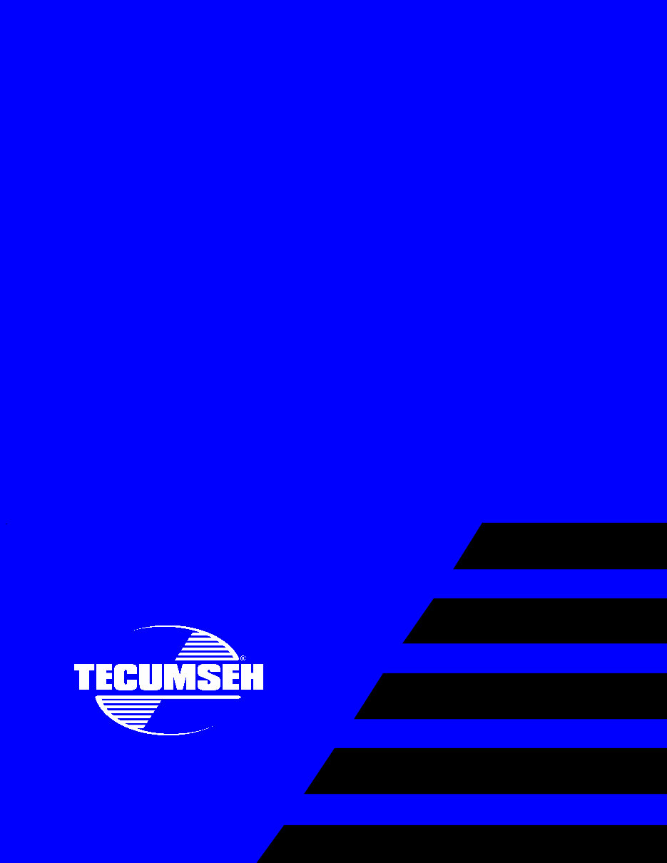 TECUMSEH PEERLESS TransmissionS 700 Series Factory Service & Work Shop ...