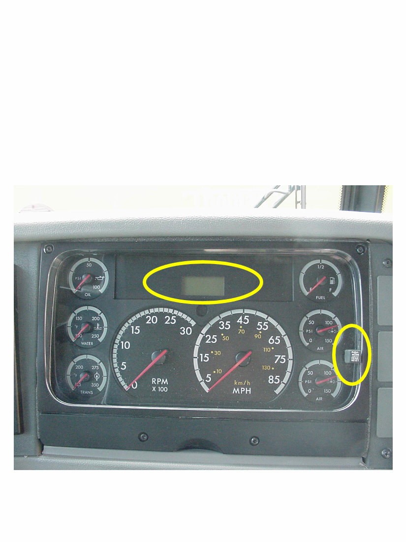 Freightliner Thomas bus fault Code Manual | Manuals Online