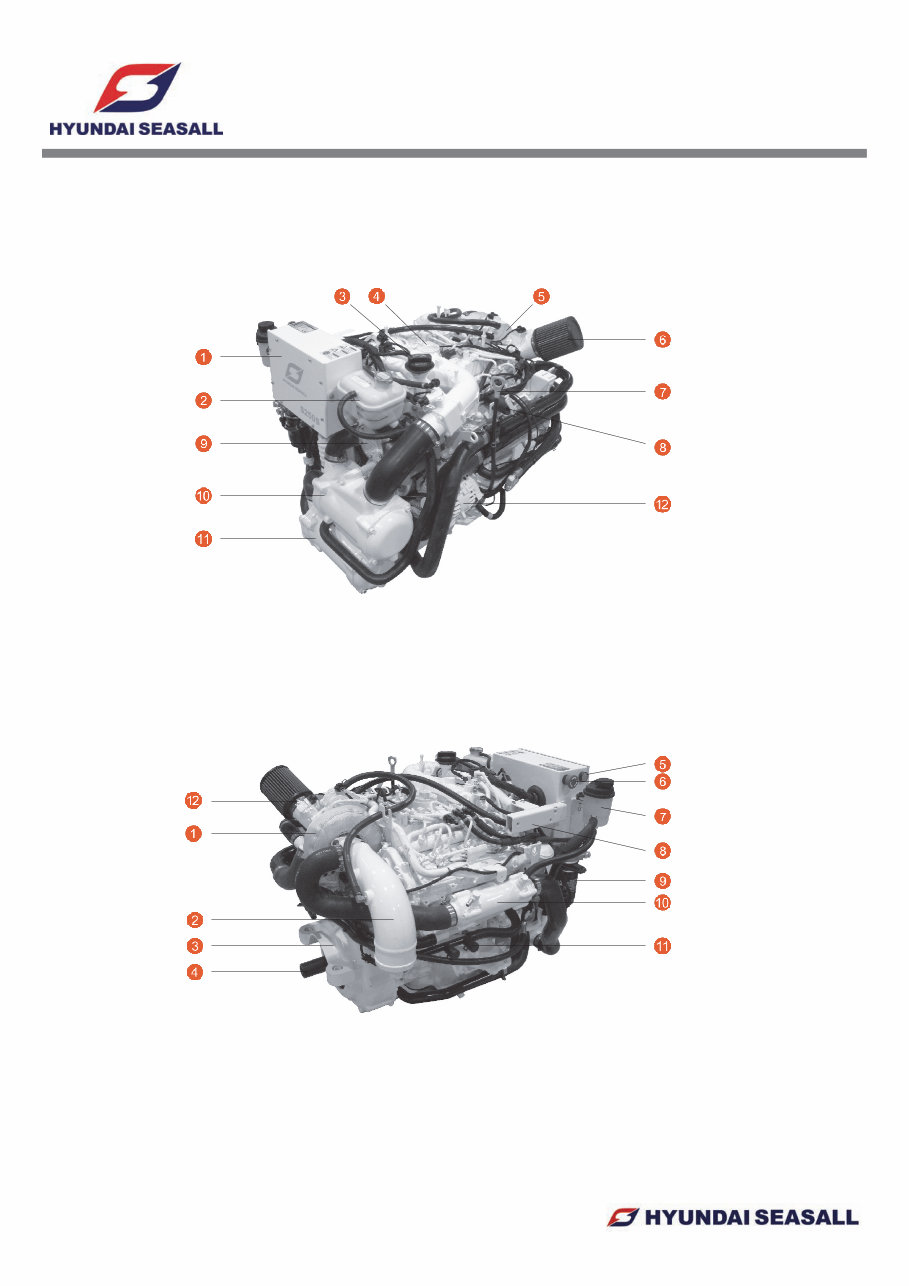Hyundai SeasAll S250 and S220 Series Engines Installation & Operation Manual |Manuals Online
