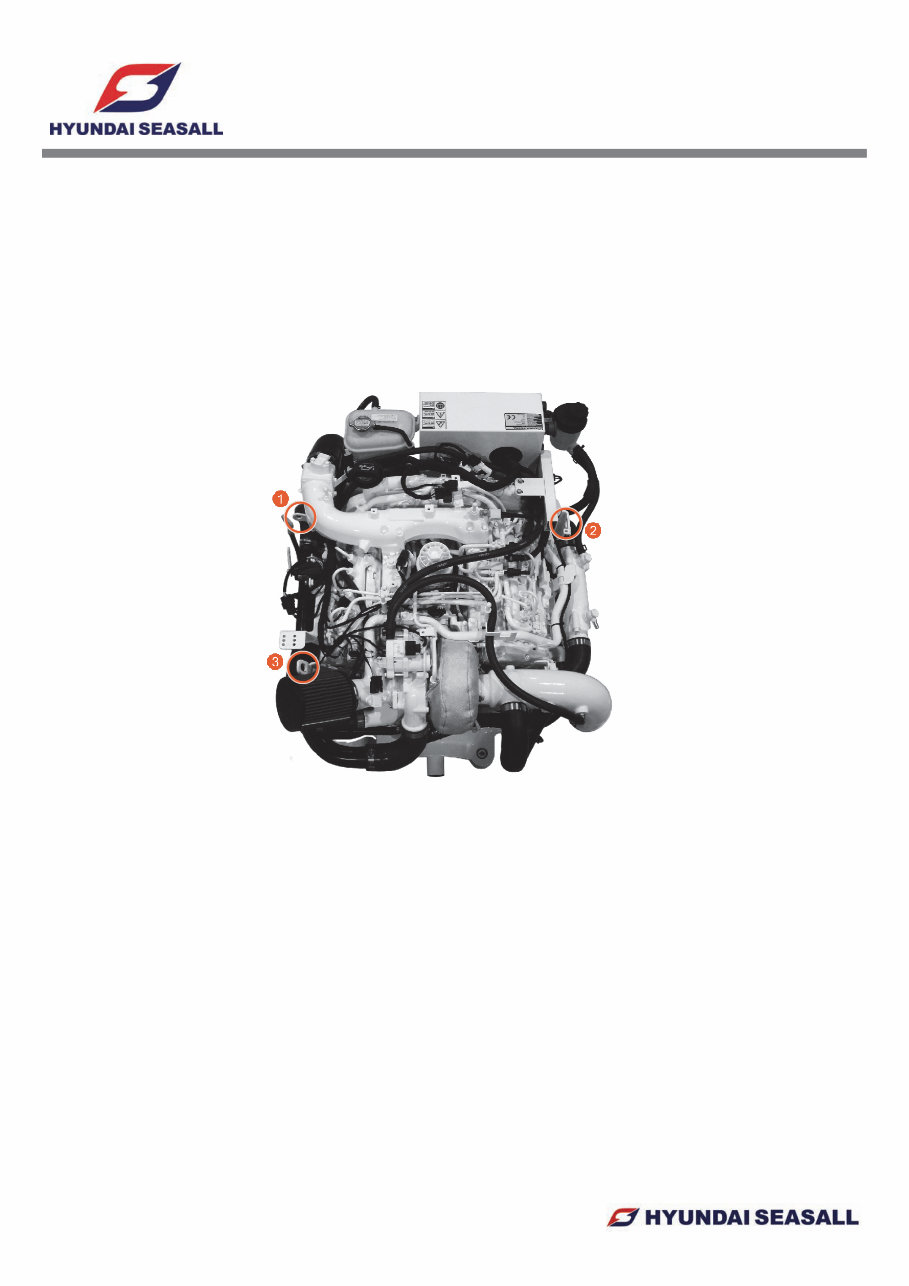 Hyundai SeasAll S250 and S220 Series Engines Installation & Operation Manual |Manuals Online